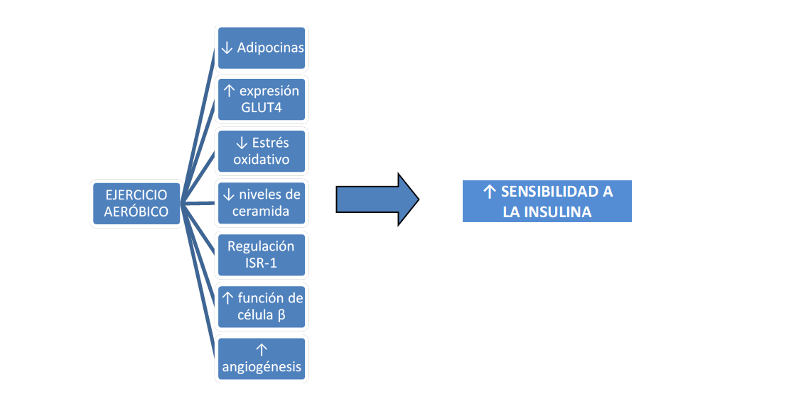 A parte de las víasmencionadas anteriormente, entran en juego otras vías más específicas.