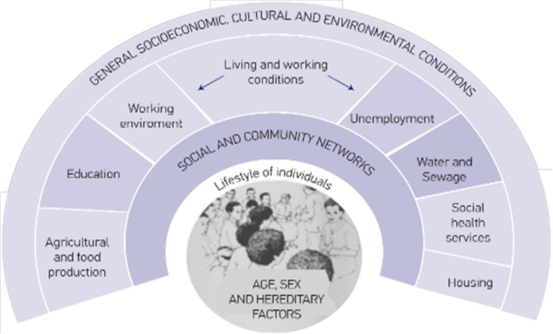 Figura1. Modelo de Dahlgren & Whitehead sobre los enfoques ...