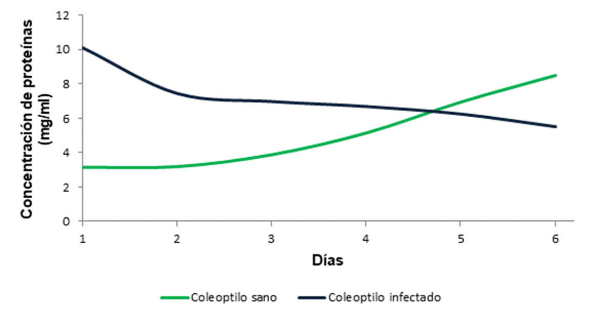 Figura1. Comparación de la concentración deproteínas totales en ...